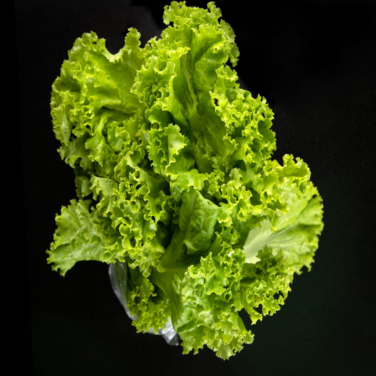 Lettuce – Leann's Tea House